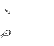 LECCIONES HIPERTEXTUALES DE BOTÁNICA. CICLO VITAL DE ULVA